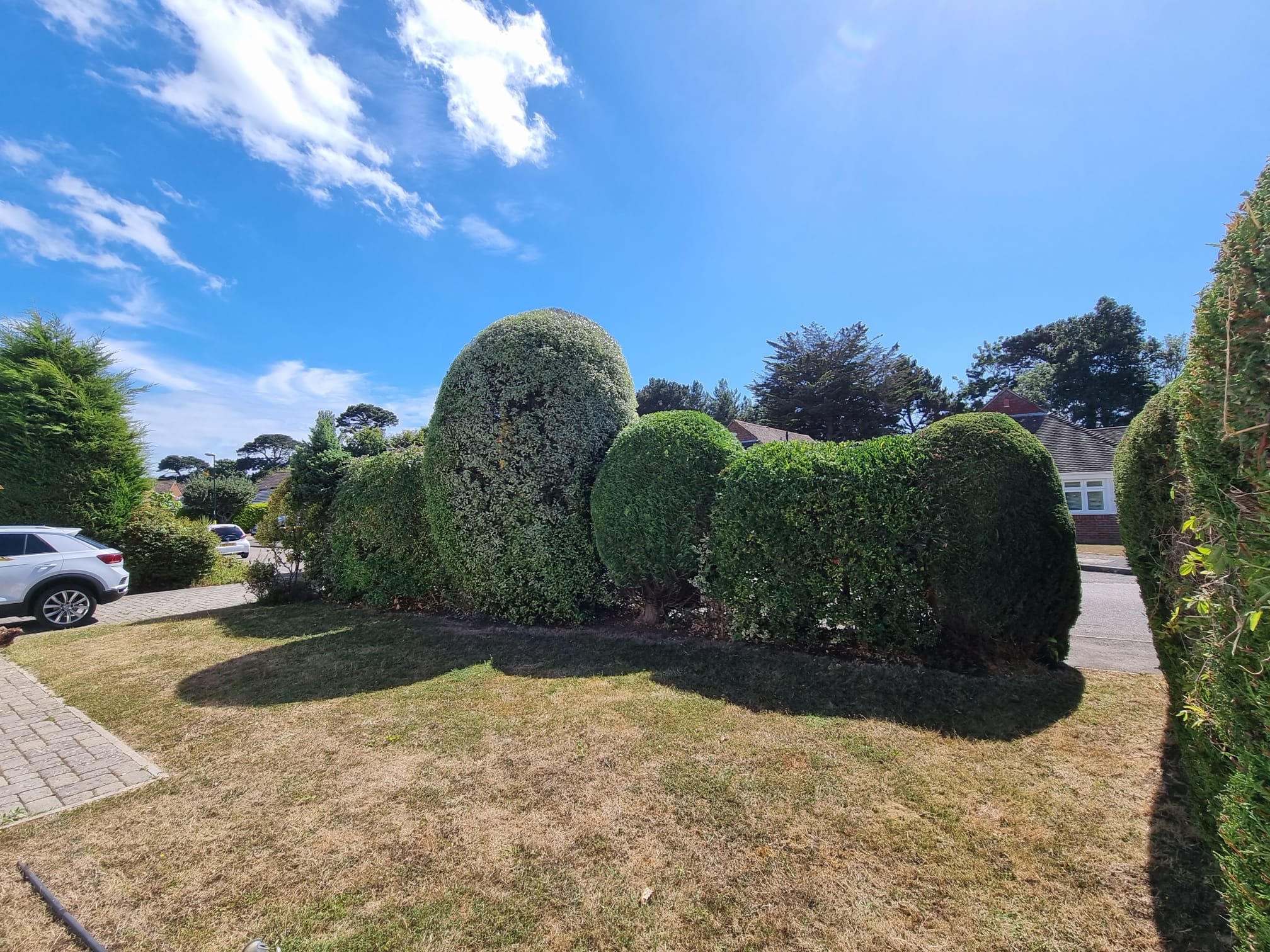 How to Cut Your Hedge in Arun District